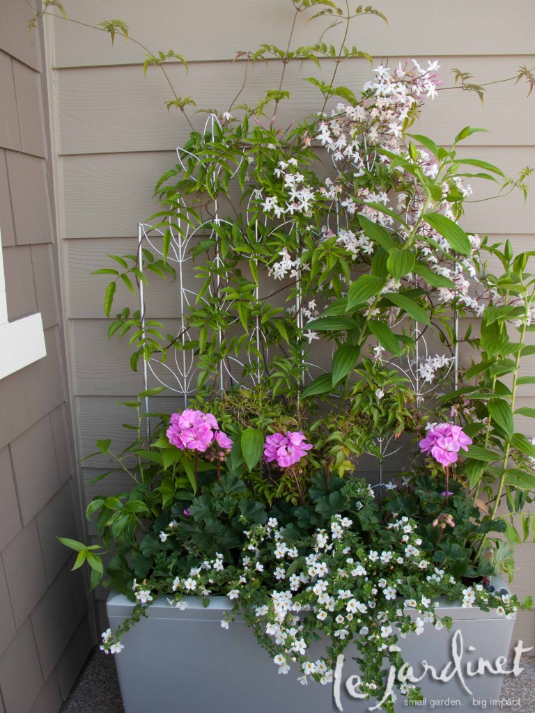 Color Inspiration for Container Gardens – Le Jardinet