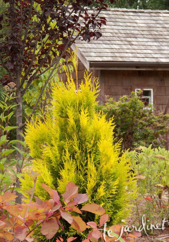 12 Months Later – Le Jardinet