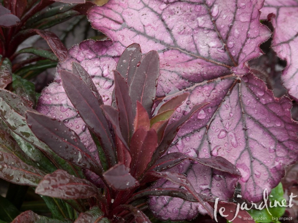 Hot Colors for Cold Days – Le Jardinet