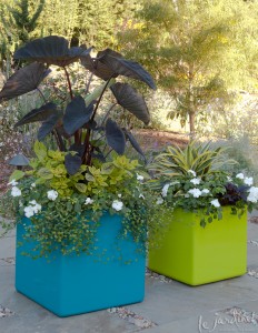 Container Creations – inspiration for Spring! – Le Jardinet