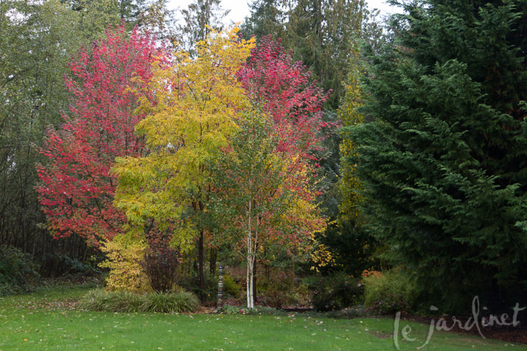Designing with Fall Foliage – Le Jardinet