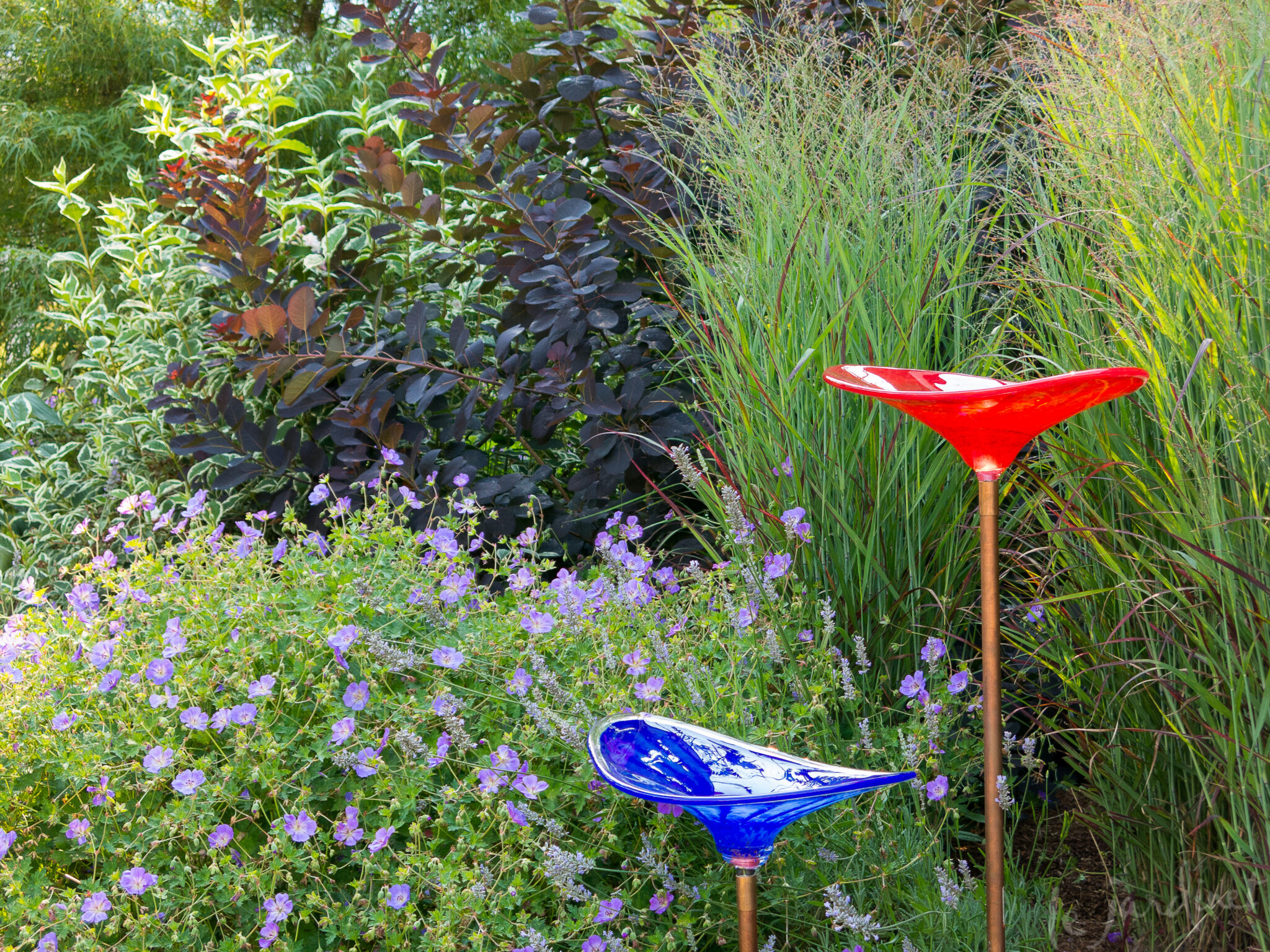 Best Long-Blooming, Deer-Resistant Perennials – Le Jardinet