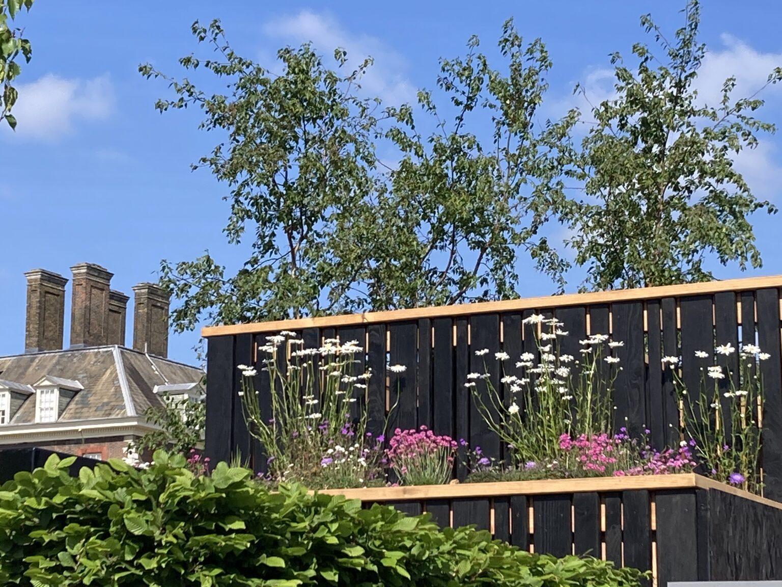 Gateway Wildlife Garden – Chelsea 2023 – Le Jardinet