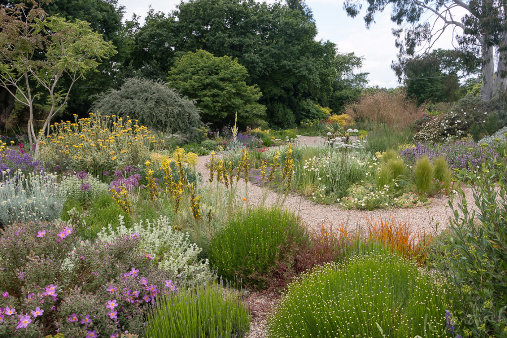 Inspiration for Dry, Sunny Gardens in Temperate Climates – Le Jardinet