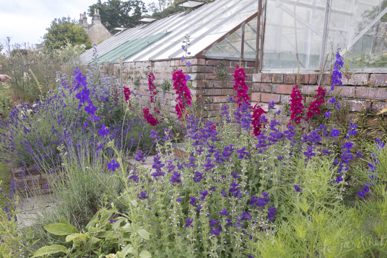 Caisson Gardens – a hidden gem – Le Jardinet