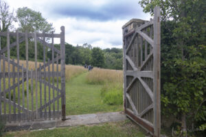 Caisson Gardens – a hidden gem – Le Jardinet